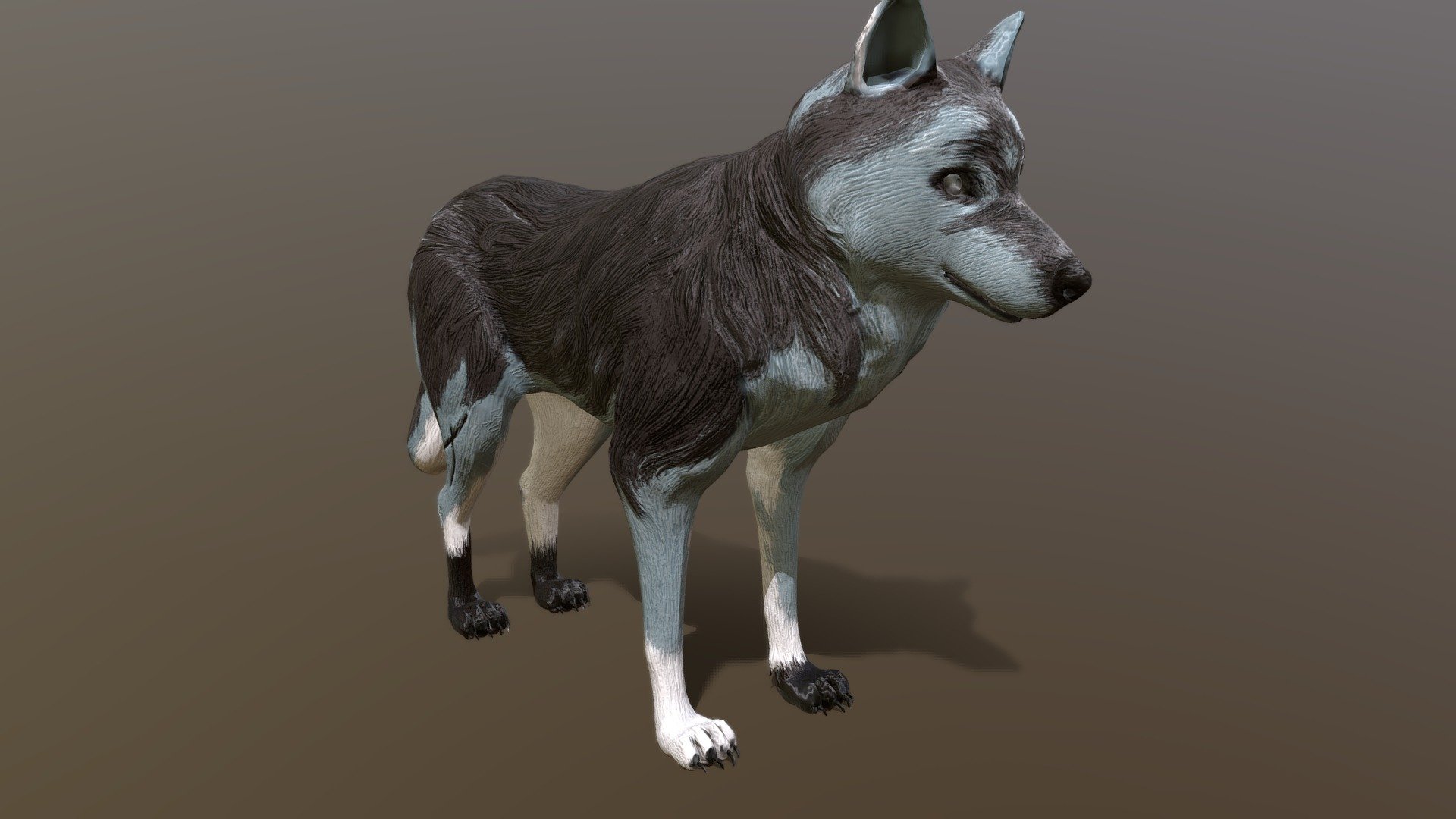 Wolf - 3D model by Raya (@EiyuuRei) [0d3f232] - Sketchfab