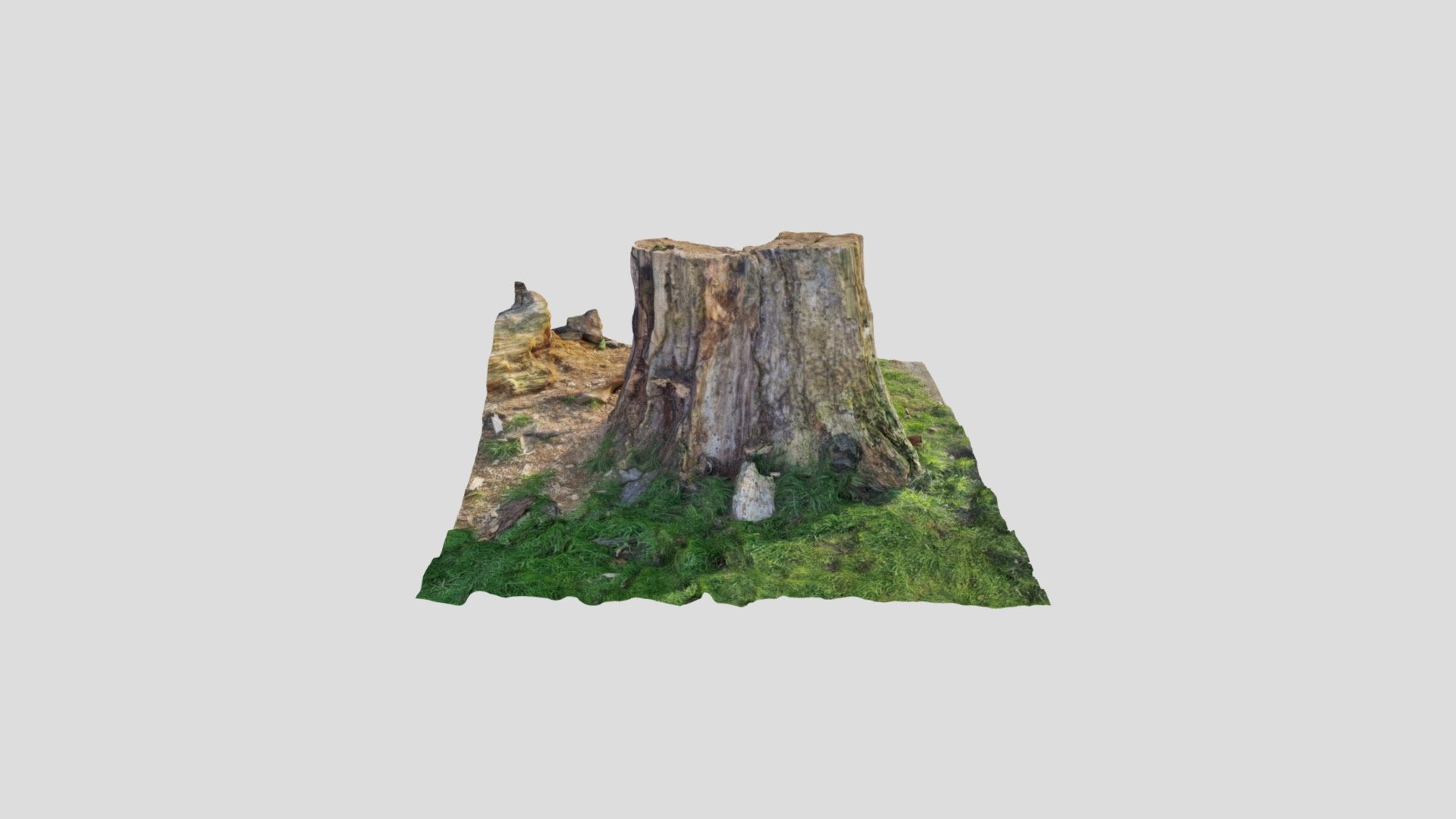 Stumpy - Download Free 3D model by mdisney [0d41bfa] - Sketchfab