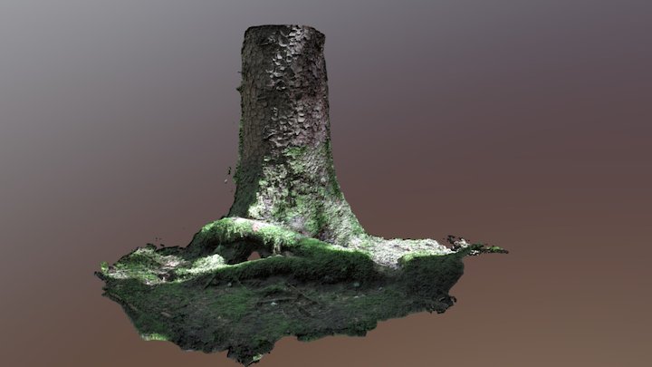 Waldo 3D models - Sketchfab