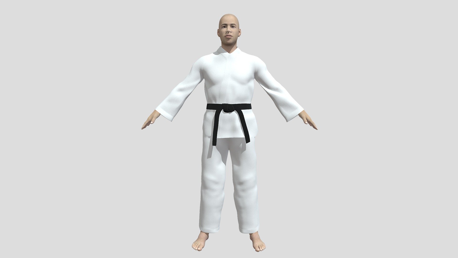 Karate Fighter - Buy Royalty Free 3D model by trish.j2109 [0d553fa ...