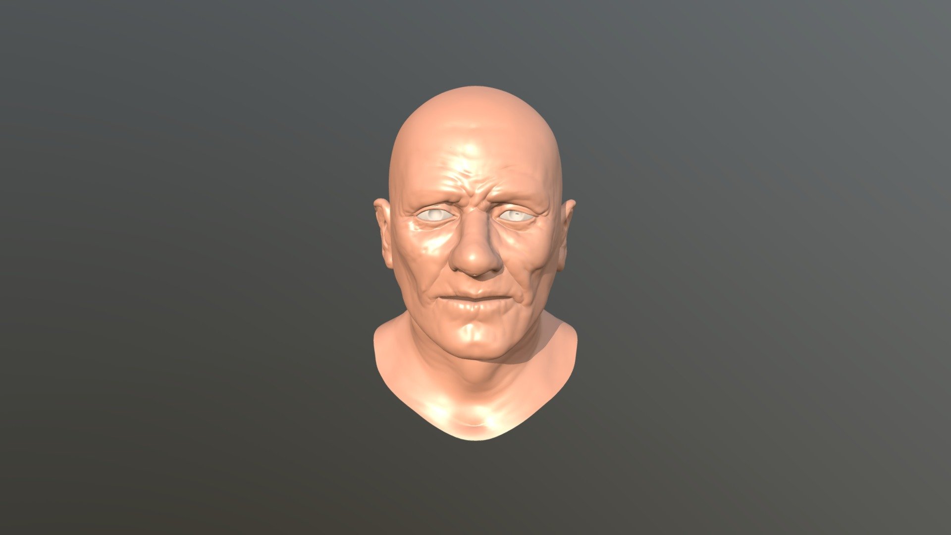 Old man study - 3D model by Derlich [0d563a6] - Sketchfab