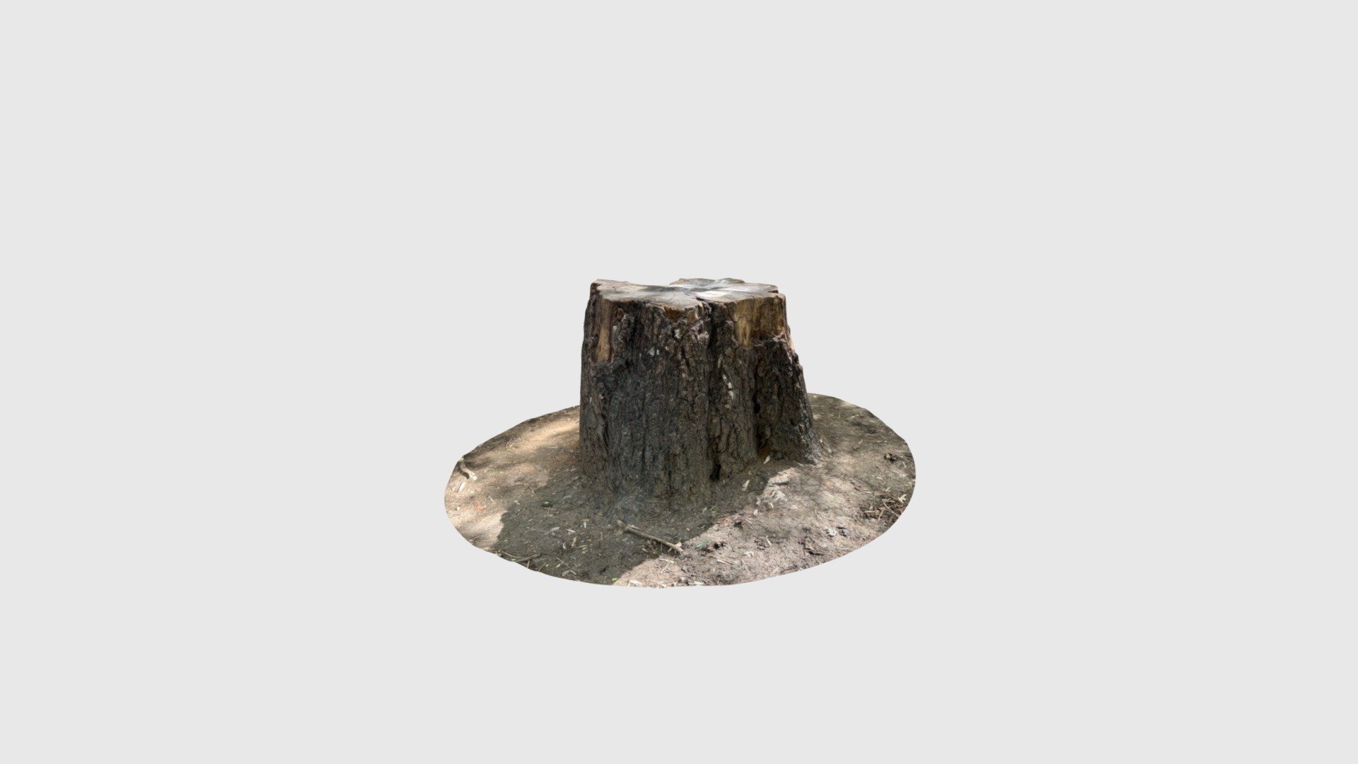 Stump - Download Free 3D model by bj (@bj0ke) [0d5bdfe] - Sketchfab