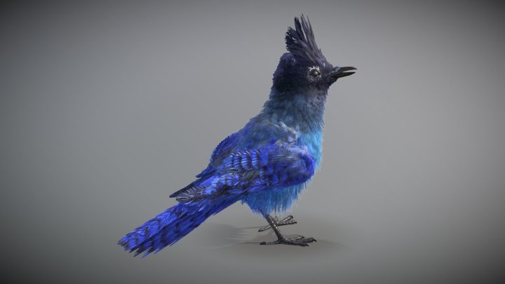 Fly 3D models - Sketchfab