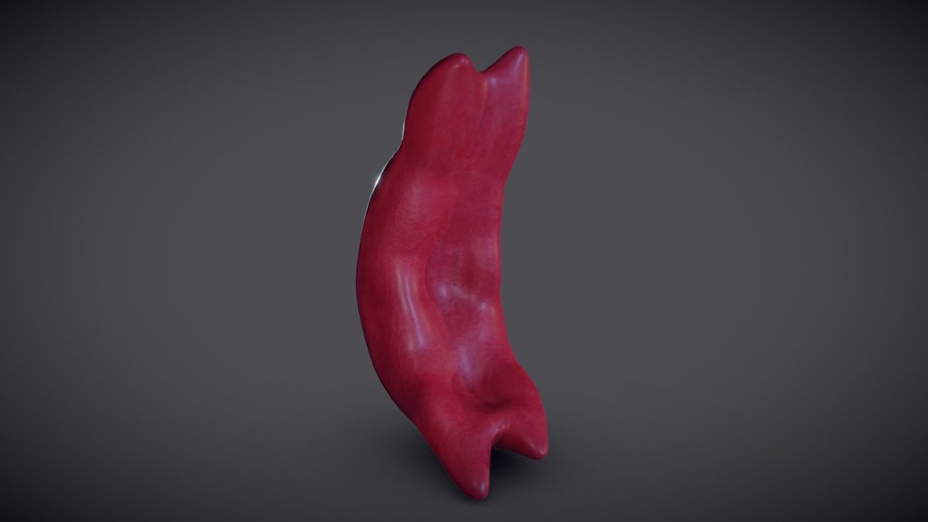 sickle cell anemia - A 3D model collection by sfinchsonicart - Sketchfab