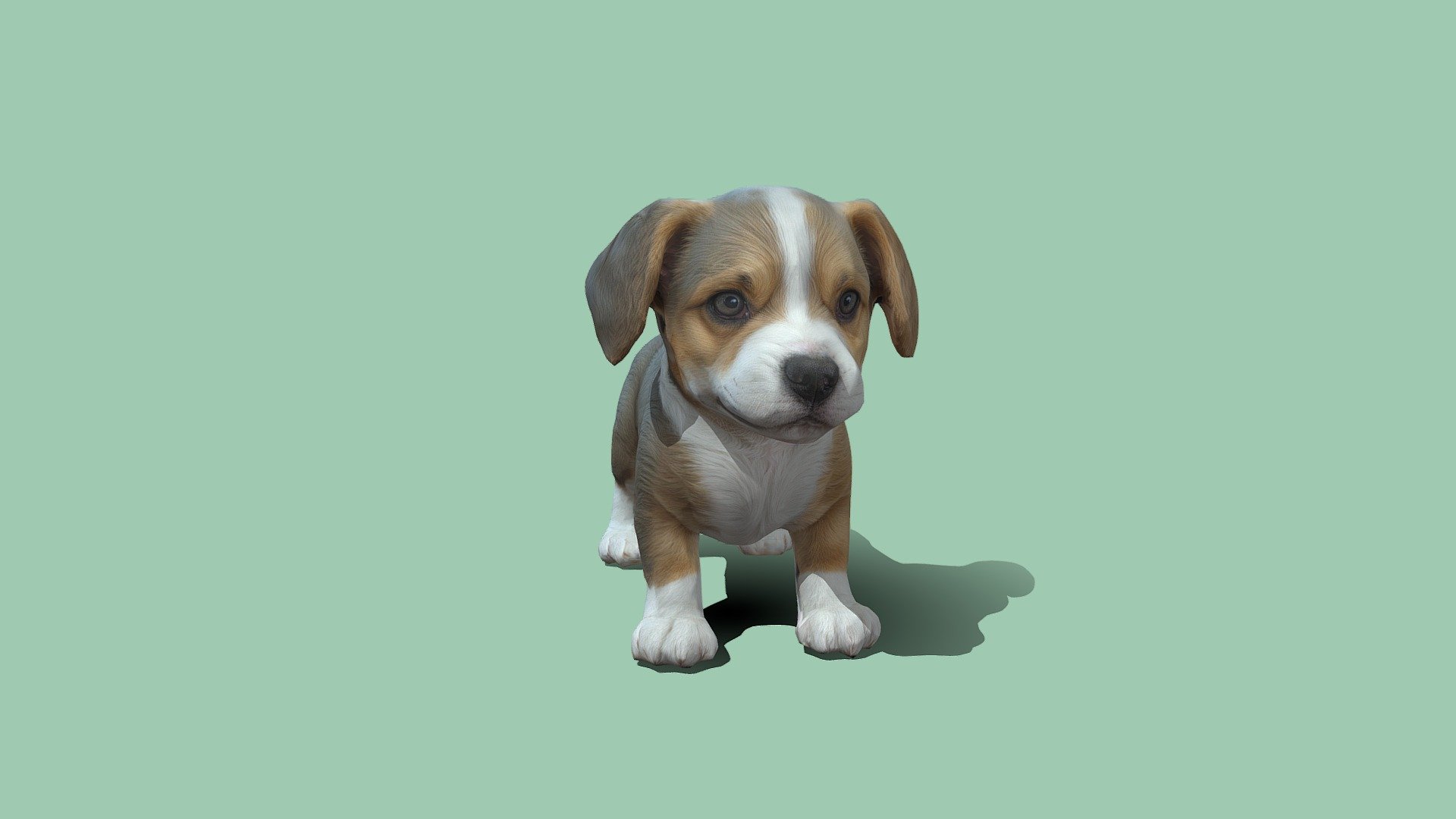 Puppy - Animal - Buy Royalty Free 3D model by The Scan Man (@TheScanMan ...