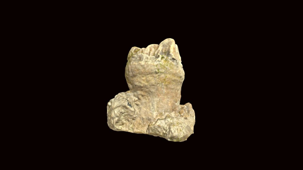 Mastodon Fossils and Related 3D Scans - A 3D model collection by Virtual Curation Lab ...