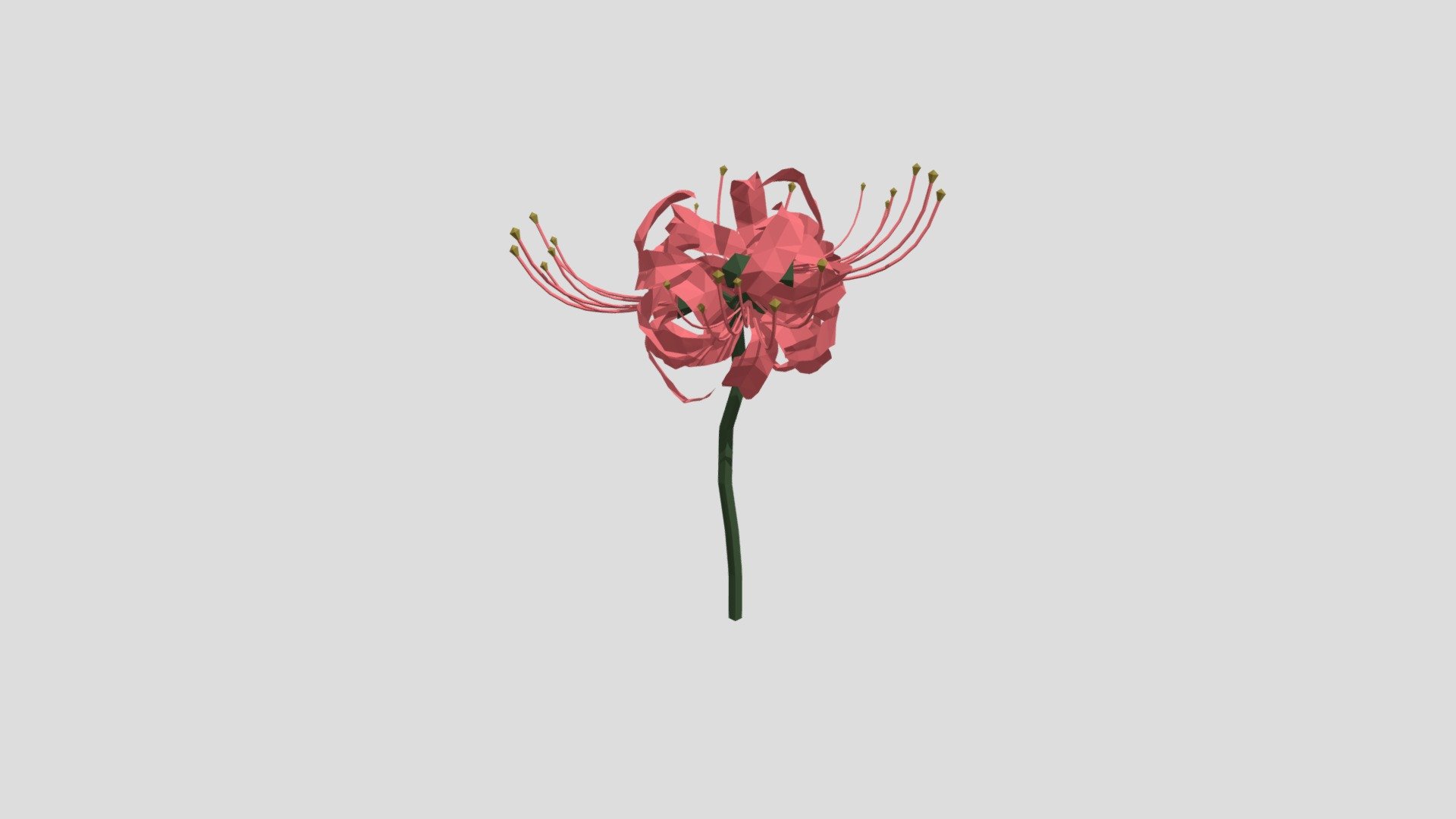 Spider Lily - 3D model by KazeArts [0d6a802] - Sketchfab