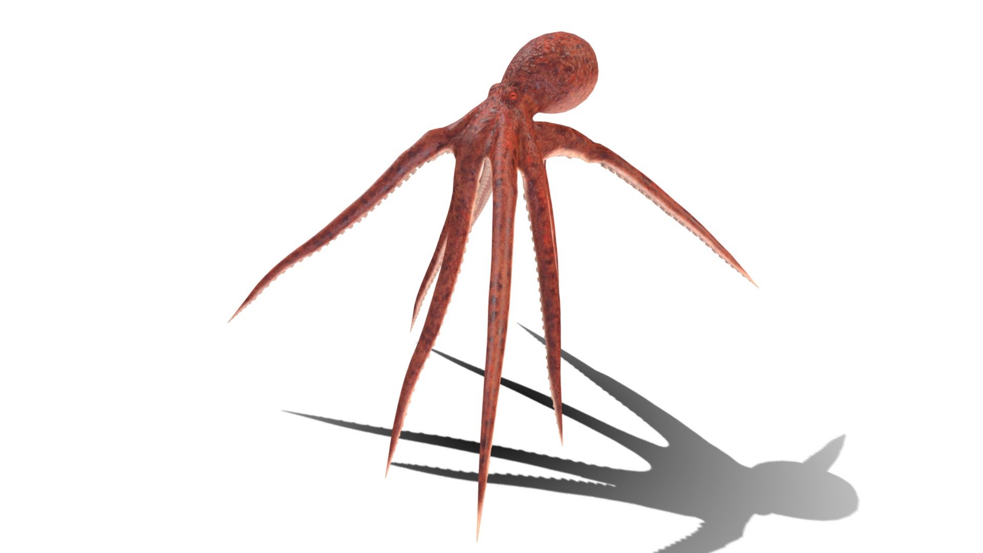 Octopus - 3D model by Studio Lab (@studiolab.dev) [0d763f9] - Sketchfab