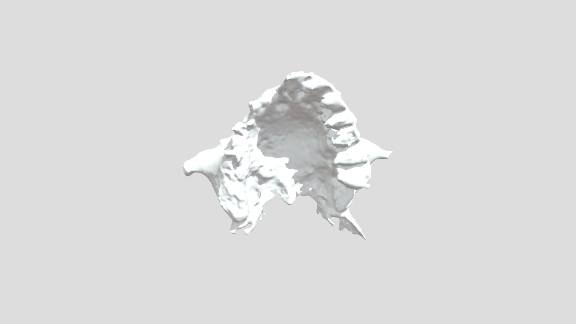 Maxilla - 3D model by segmenter [0d7caba] - Sketchfab