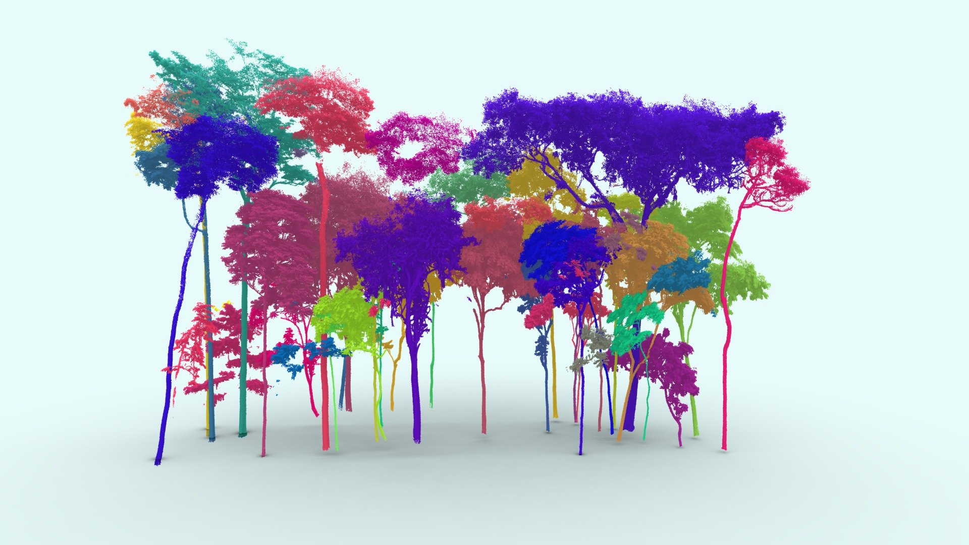 Slice of Forest at Yangambi, DRC - 3D model by Q-ForestLab (Ghent University) (@CAVElab_UGent ...