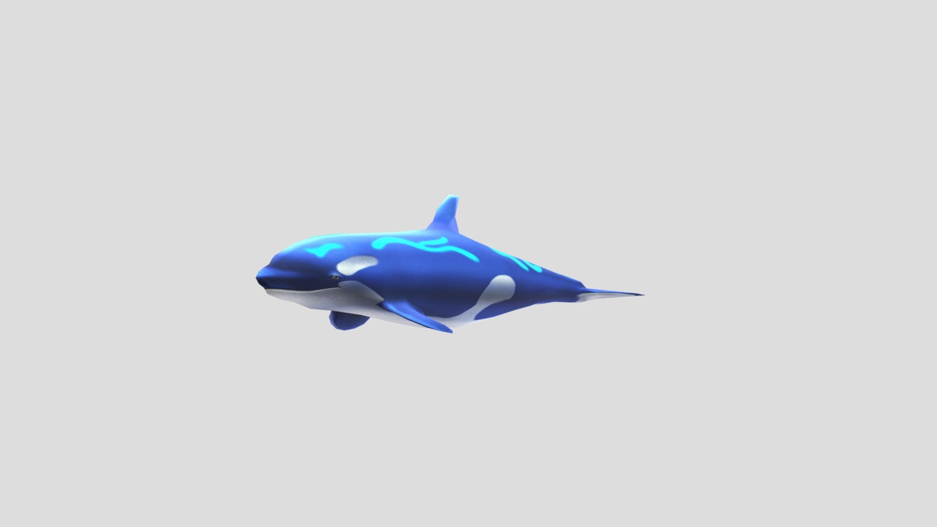 KillerWhale - Buy Royalty Free 3D model by Zi Visual Studio (@zivisual) [0d80daa] - Sketchfab Store