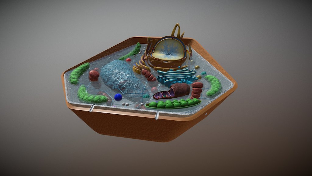 CC resources- biology - A 3D model collection by CC Resources ...