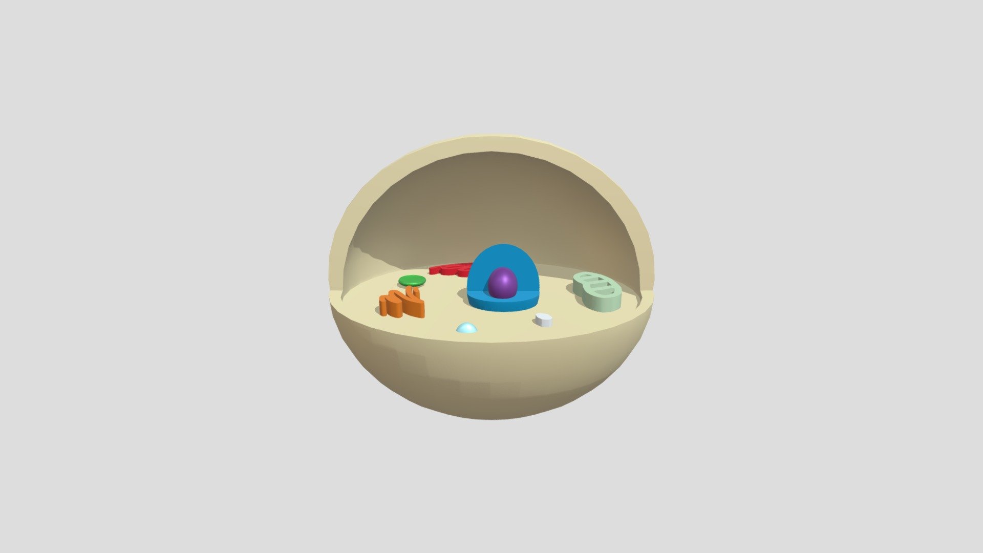 Sel Hewan - 3D model by sophieaprilia108 [0d8c05d] - Sketchfab