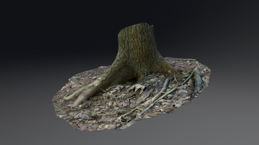 Tree Trunk 1 - 3D model by Patrick Kelley (@chronopsis) [0d8d790 ...