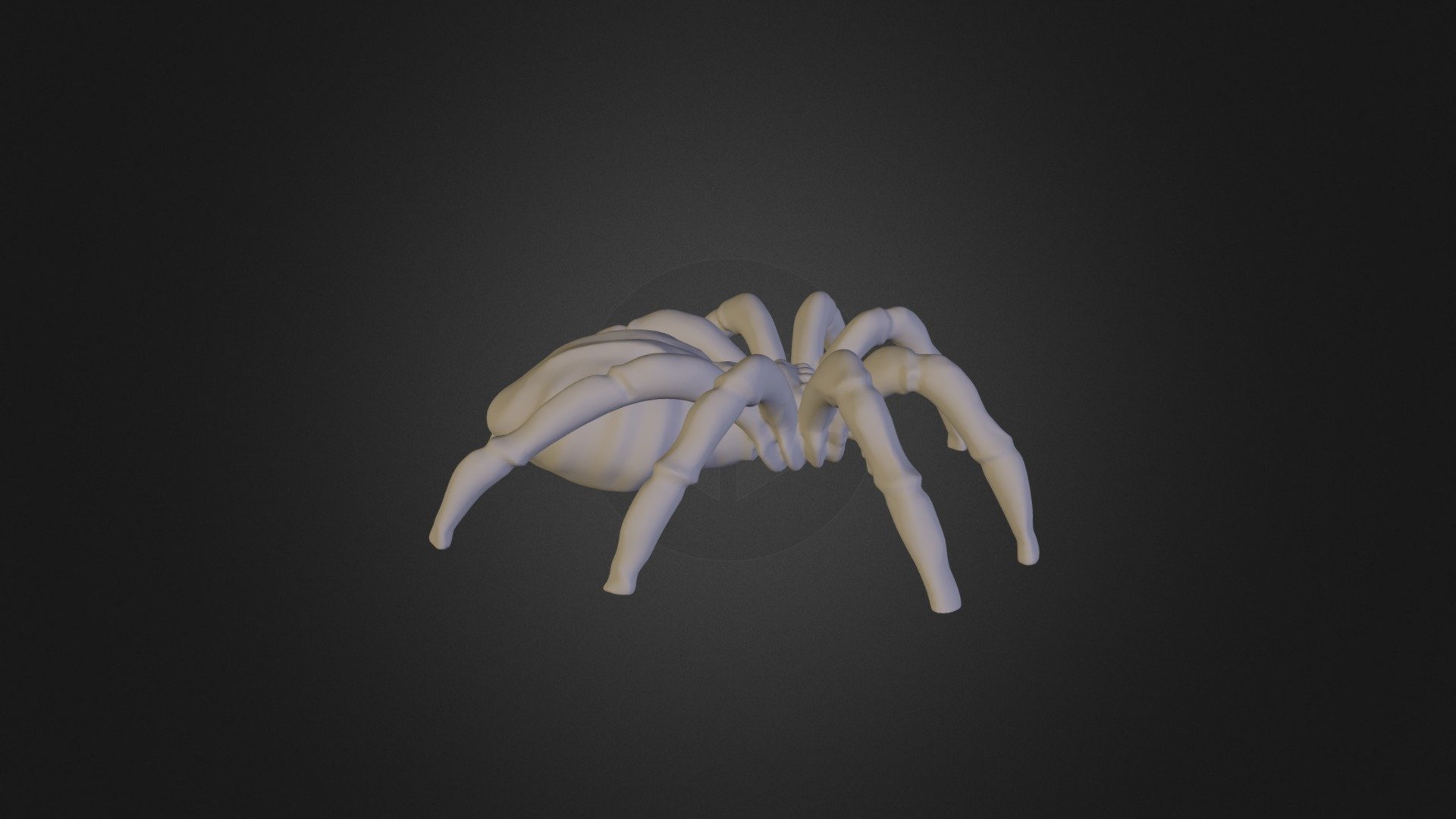 Spider Small - 3D model by Veregelo [0d8f230] - Sketchfab