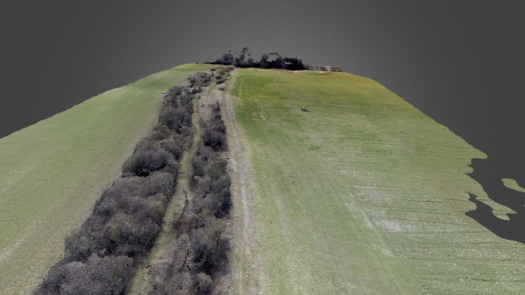 treeline - A 3D model collection by eelhor - Sketchfab