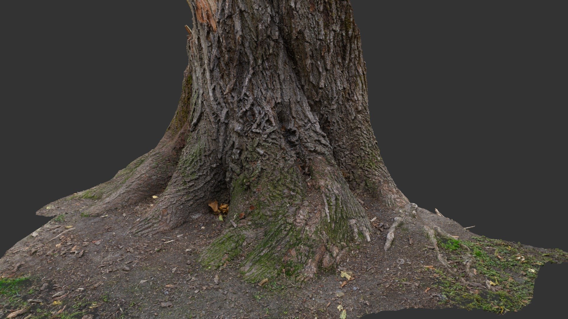 Tree-stump scan, point cloud HEAVY - 3D model by steffen aaland ...