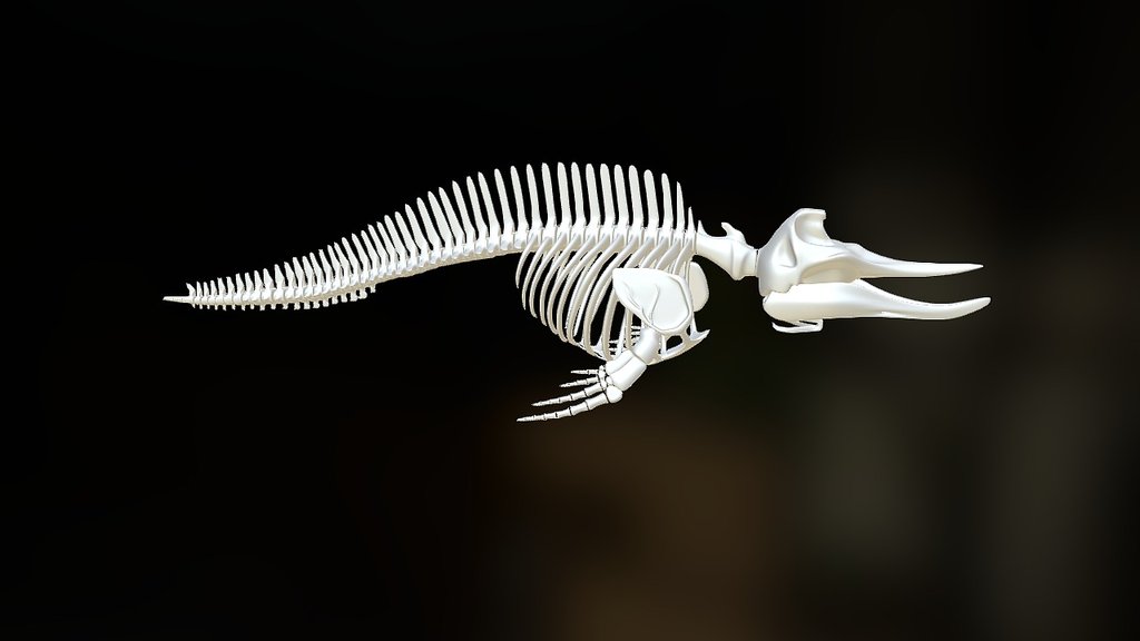 ZIFIO - 3D model by octaviosaura [0d9b1d6] - Sketchfab