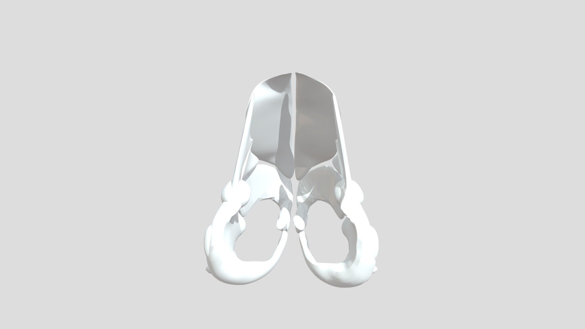 Cartilagos Alares Texturizado - 3D model by santiago545 [0da6dbd ...