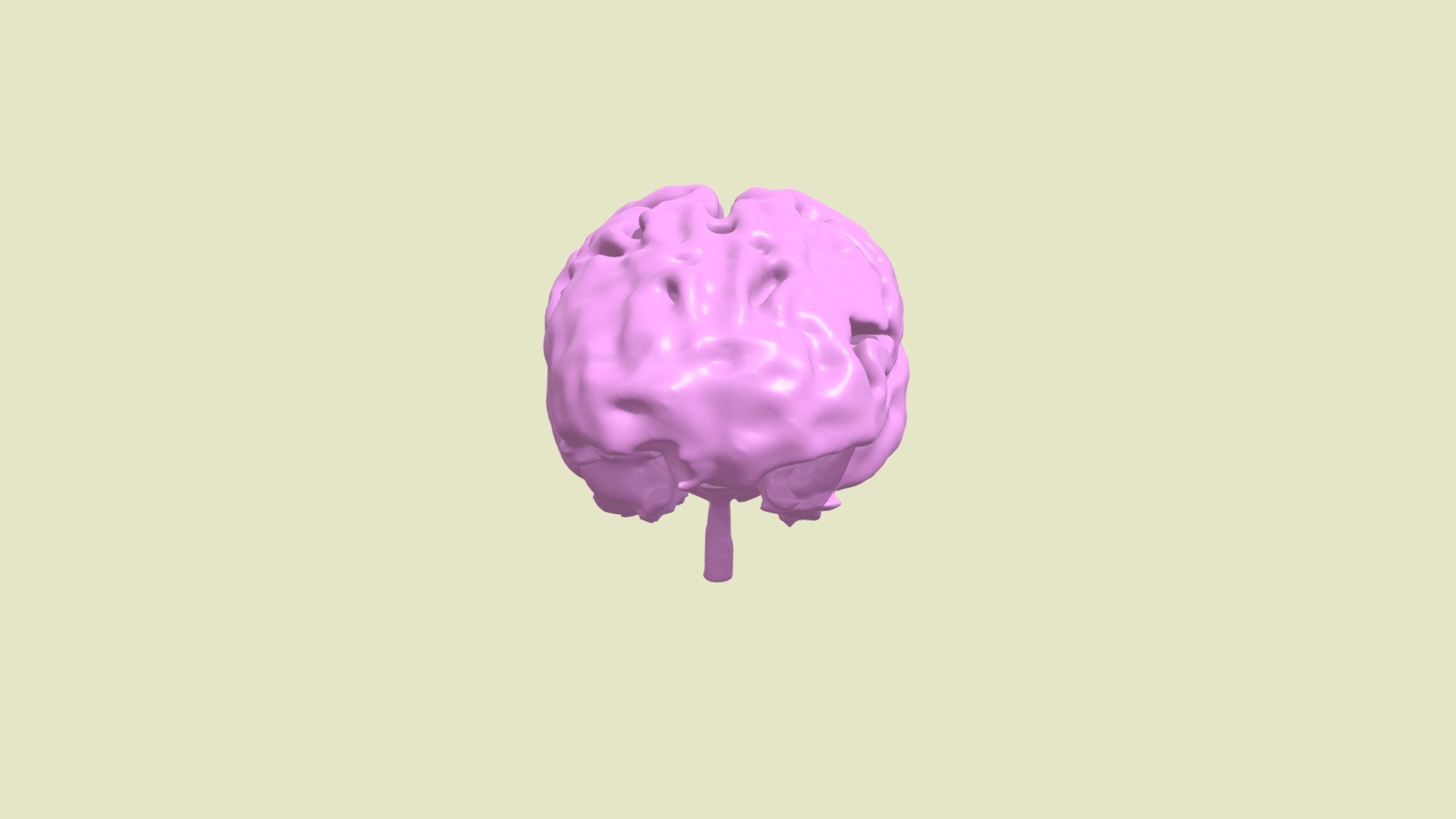 Segmentation_brain - 3D model by montescaro [0dae872] - Sketchfab