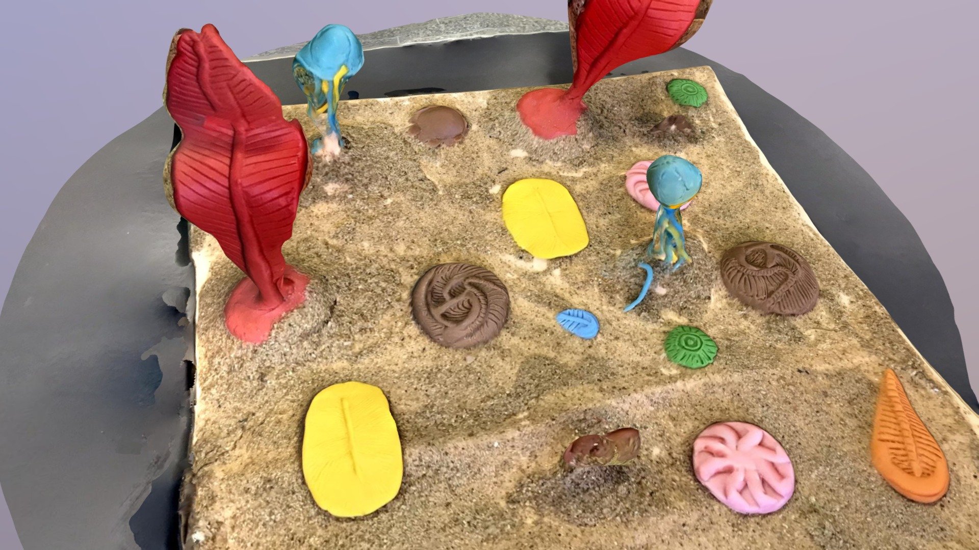 PICJ Project - Ediacaran Biota - Download Free 3D model by Paleontology ...