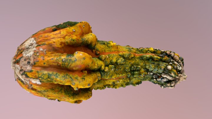Warts 3D models - Sketchfab