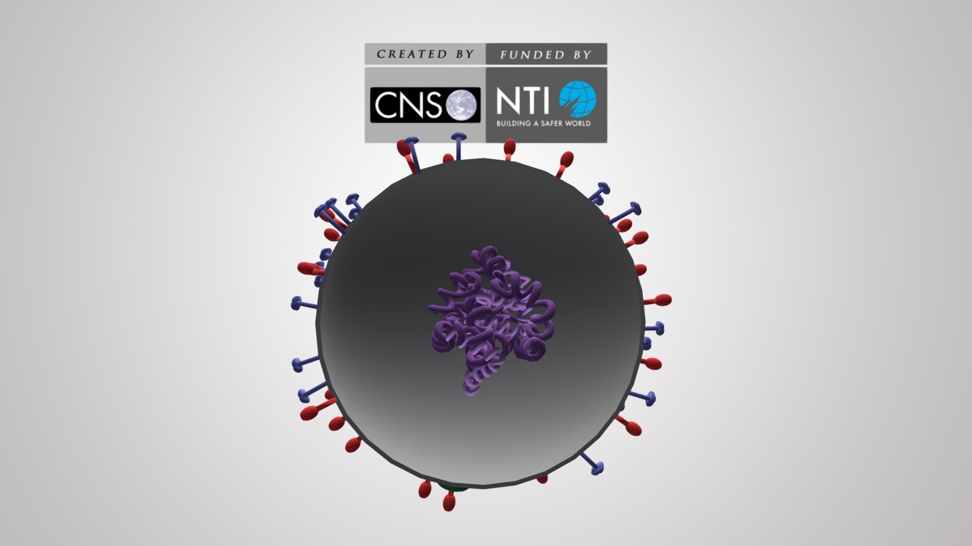 H1N1 Flu Virus - 3D model by JamesMartinCNS [0db26dd] - Sketchfab