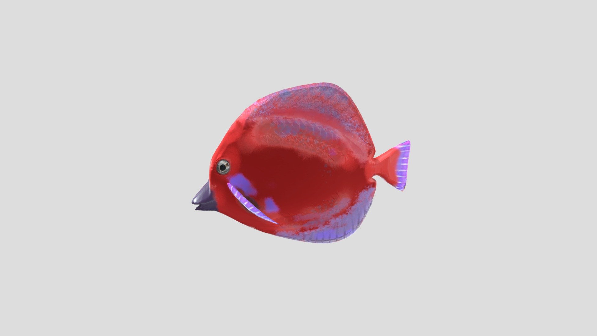 3d fish project - 3D model by Paragon_ [0db2e97] - Sketchfab