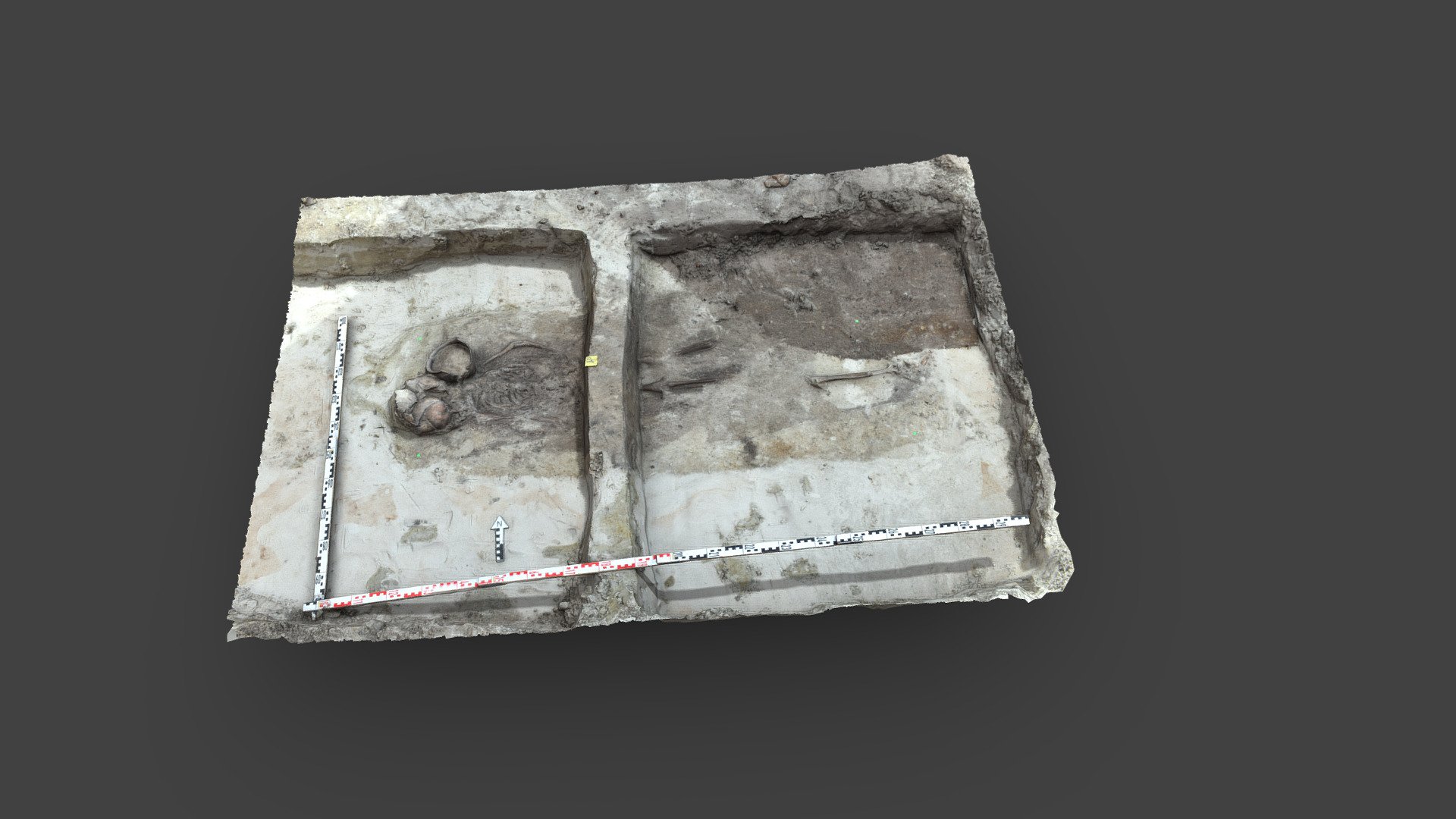 2023 BRB BEF 21 Grab Infant - 3D model by praehist3d [0dc0ad2] - Sketchfab