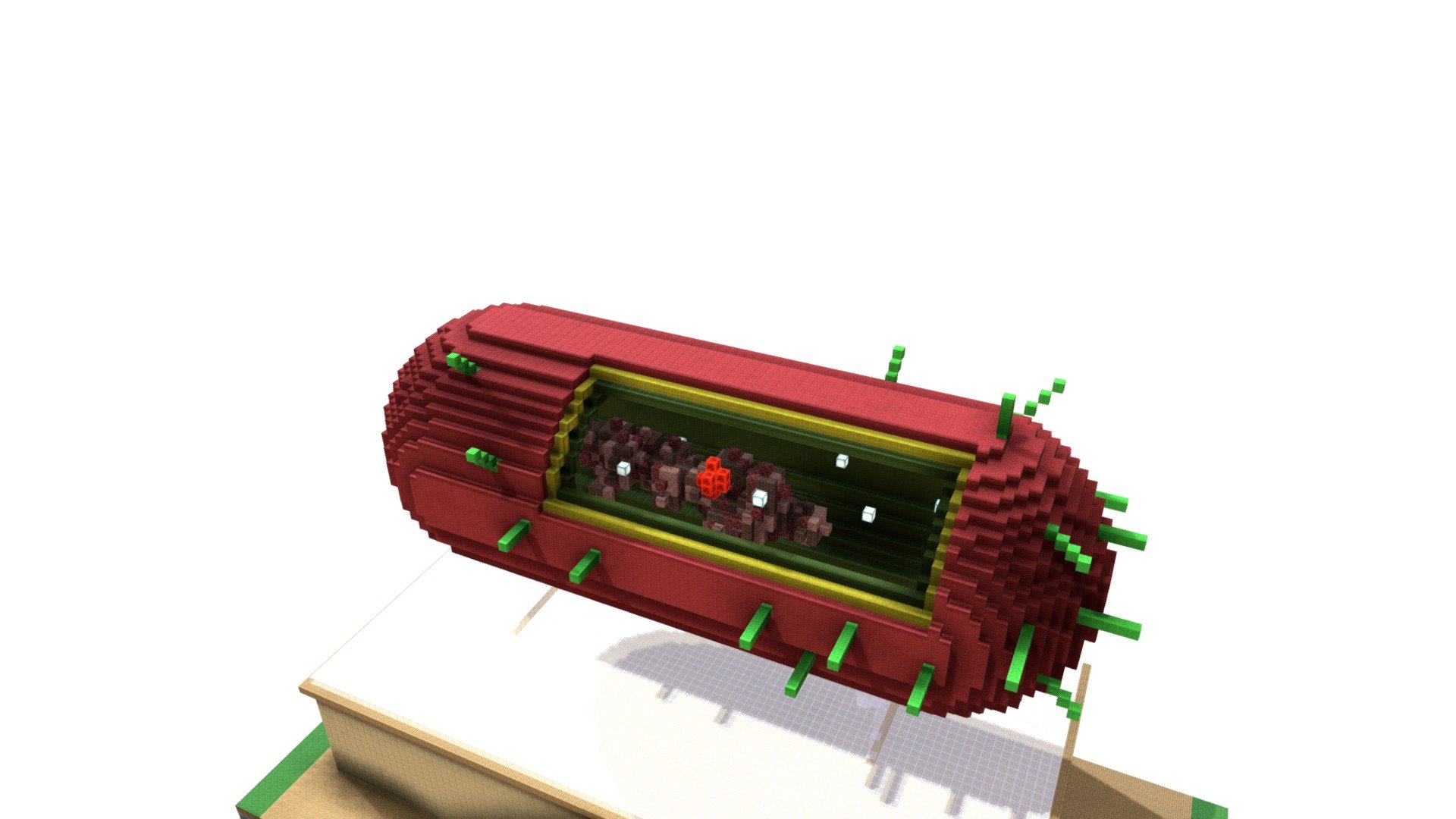 Bacteria - 3D model by MineGage [0dc212b] - Sketchfab