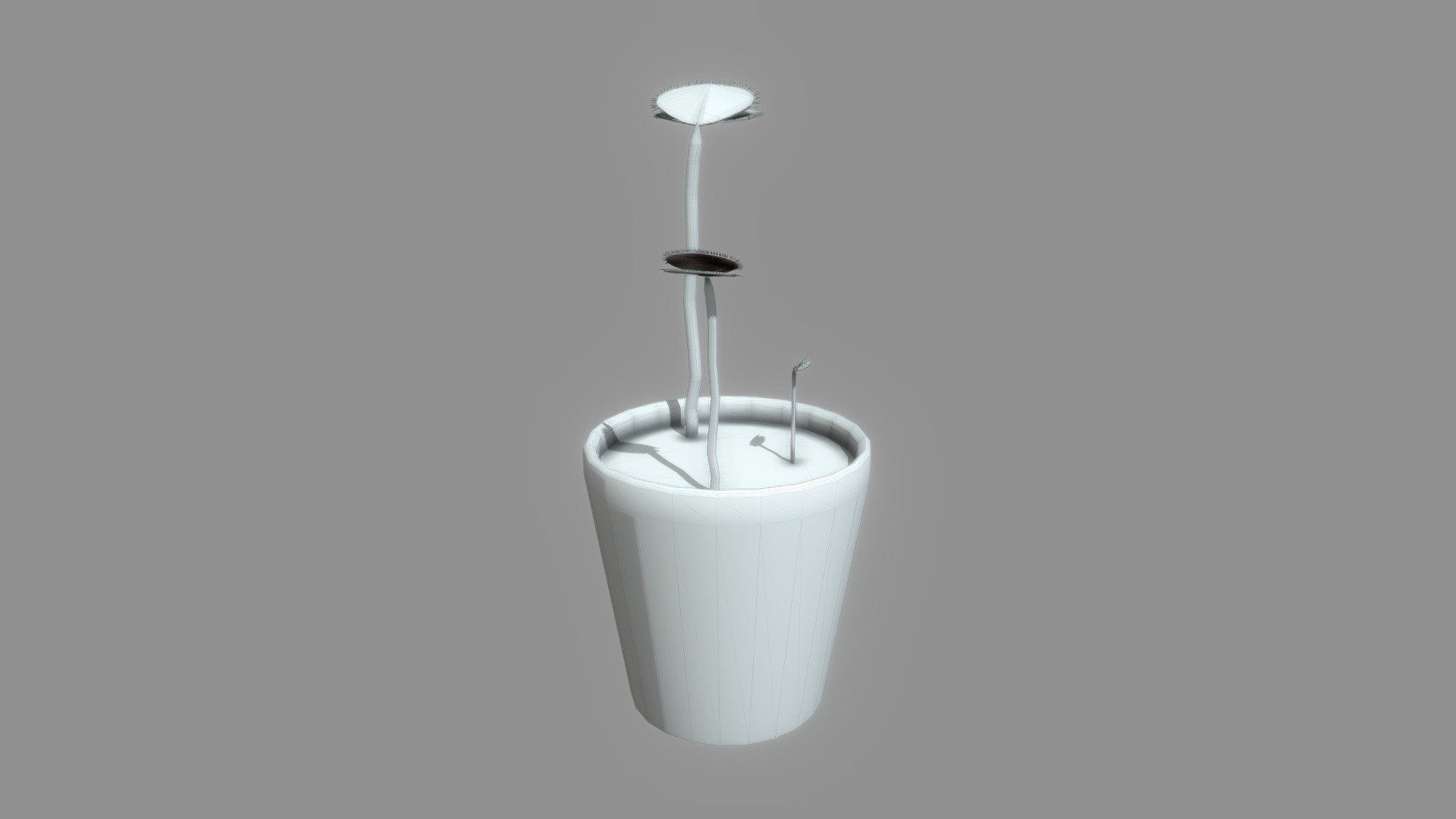 Venis fly trap - 3D model by AngelosShiapani1 [0dc2f18] - Sketchfab
