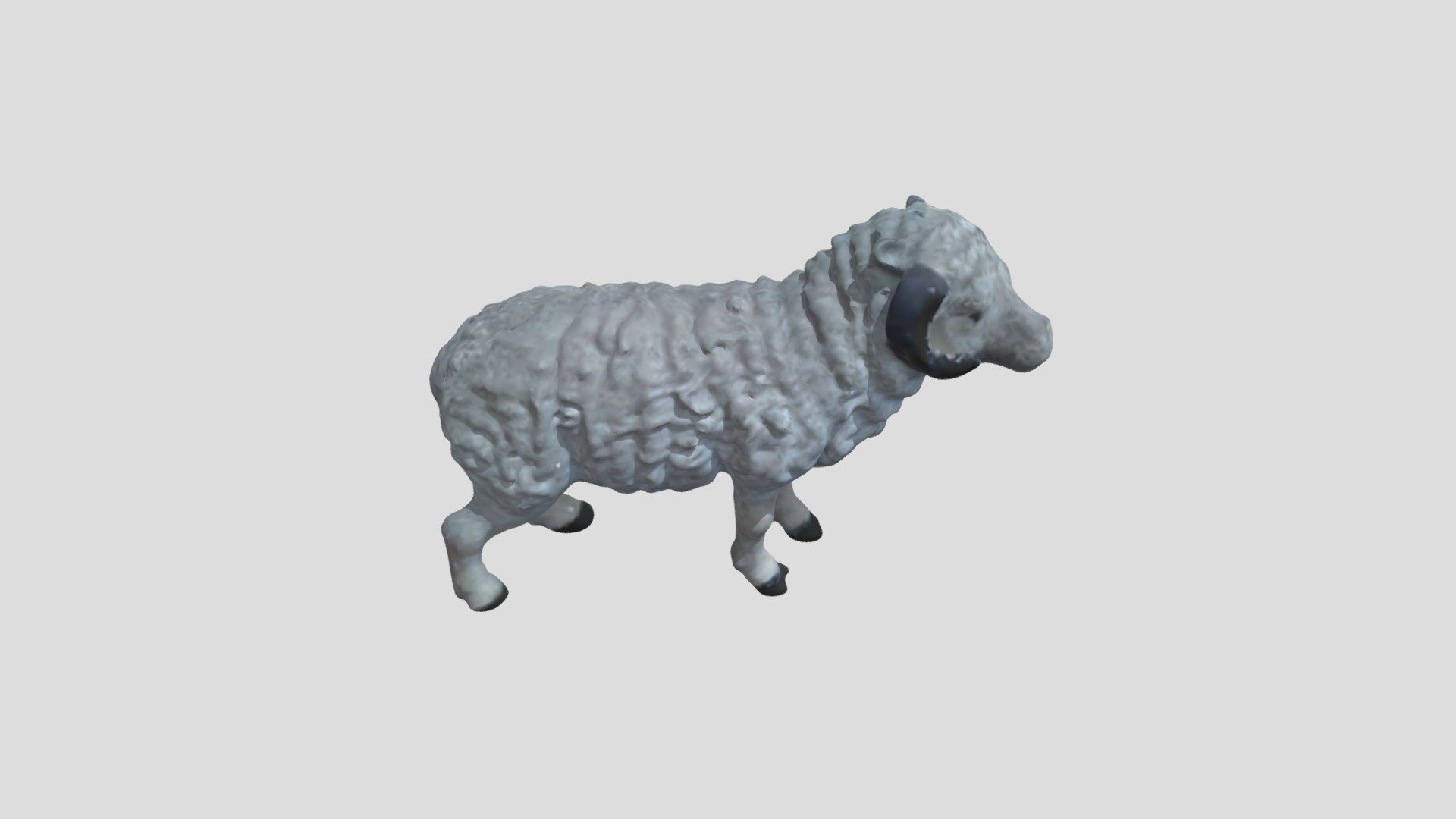 Pecora Texture V2 - 3D model by m.bianco [0dc350d] - Sketchfab