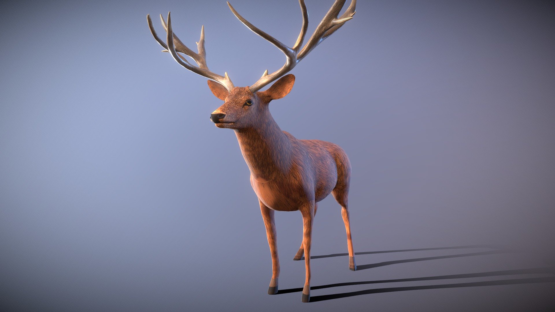 Deer 001 - 3D model by animod [0dc8863] - Sketchfab