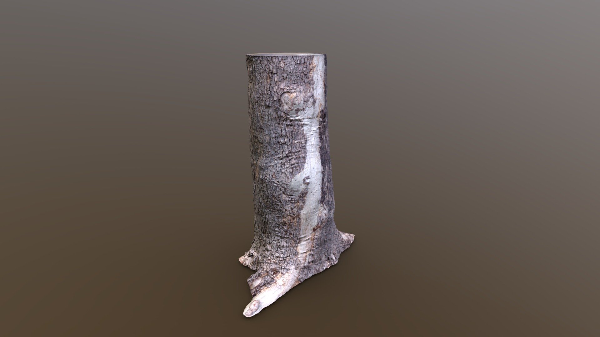 Old Sycamore - Photogrammetry Scan Retopologized - Download Free 3D ...