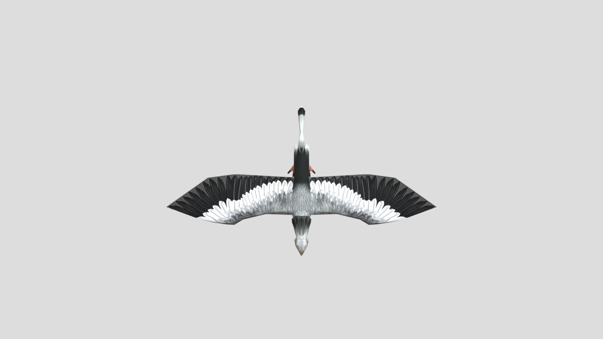 PC Computer - Zoo Tycoon 2 - Secretary Bird Male - Download Free 3D ...