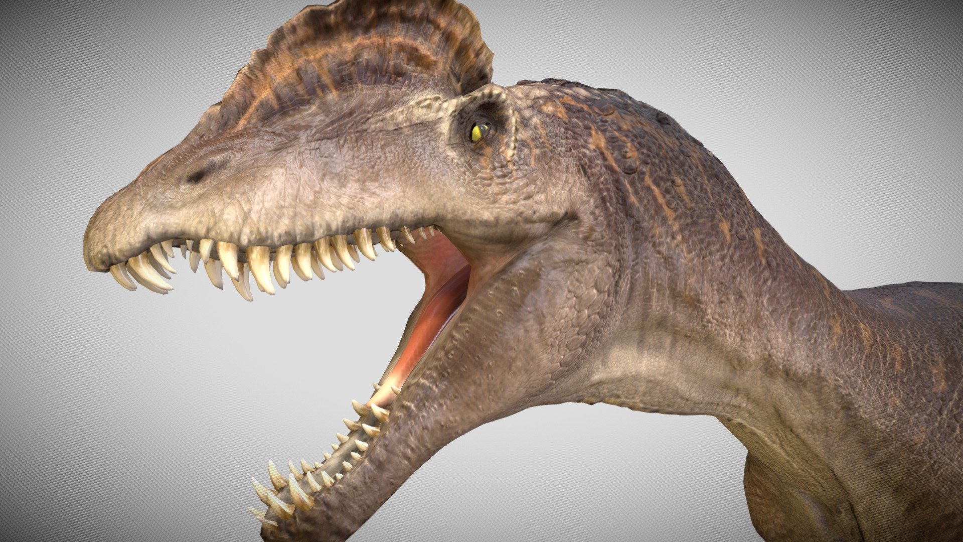 dilophosaurus V2 - 3D model by robertfabiani [0de8ea6] - Sketchfab