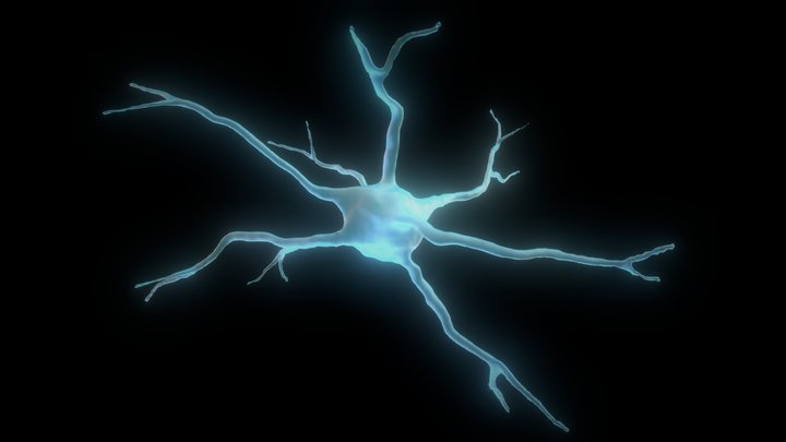 Neuron 3D models - Sketchfab
