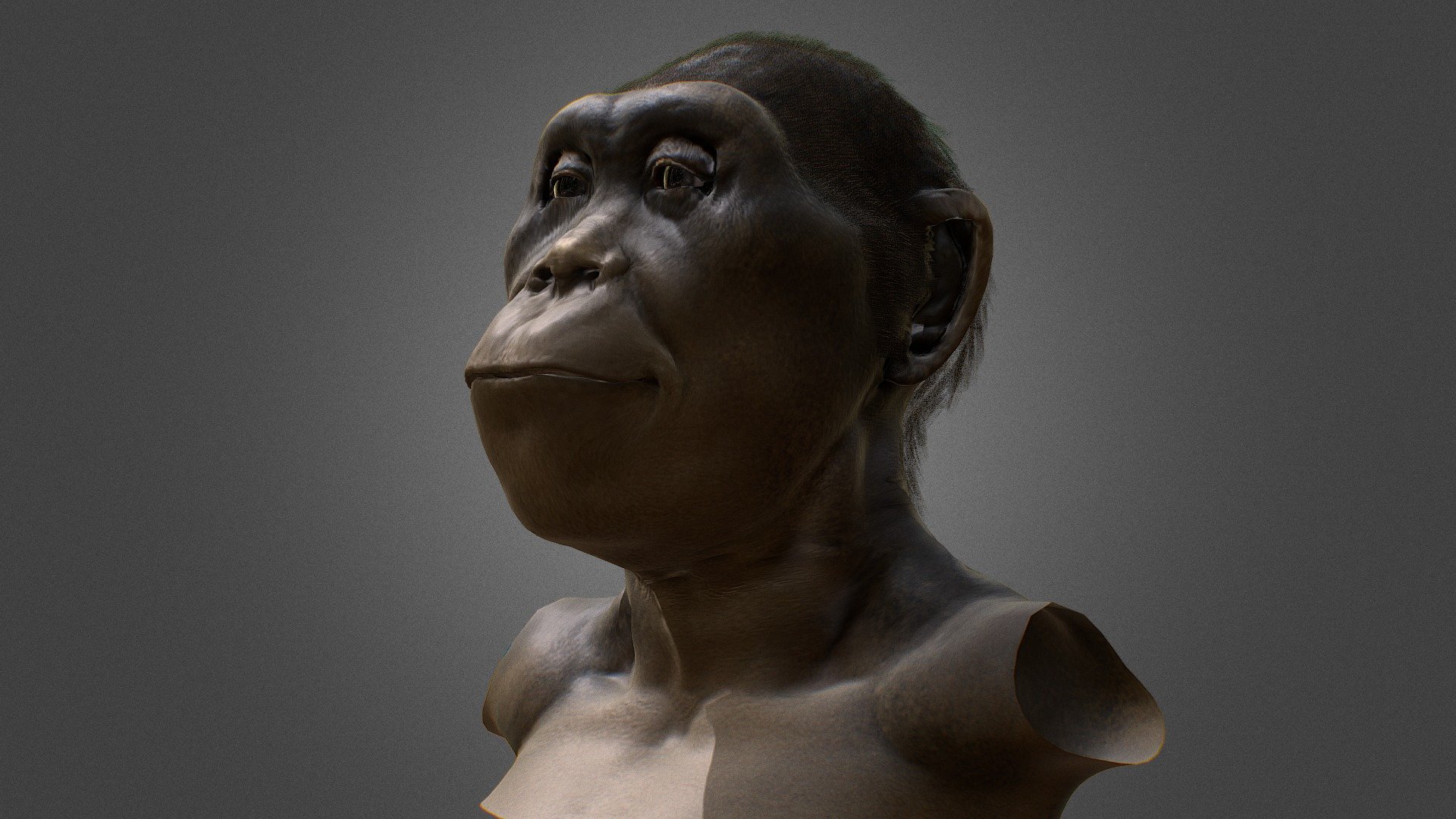 Australopithecus - 3D model by karlik-nos [0e0154c] - Sketchfab
