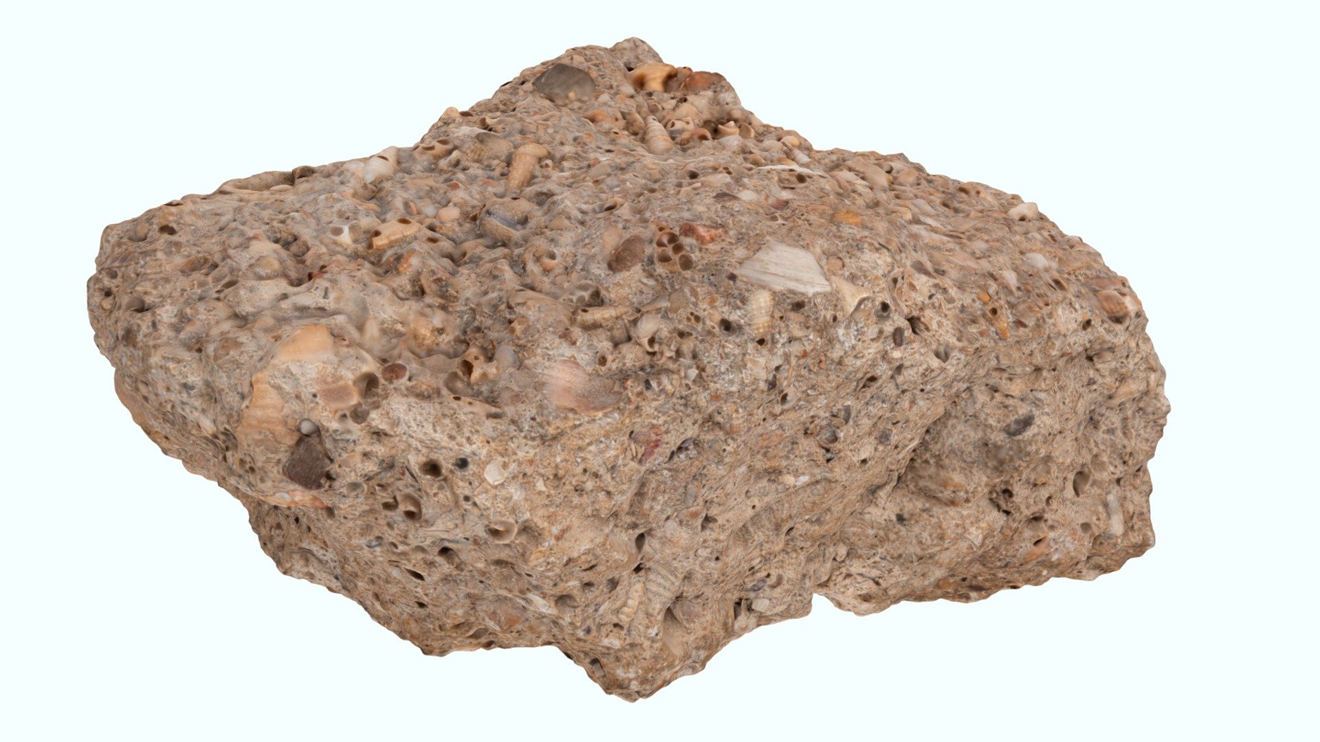 Calcaire bioclastique - Download Free 3D model by Ecole Nationale ...