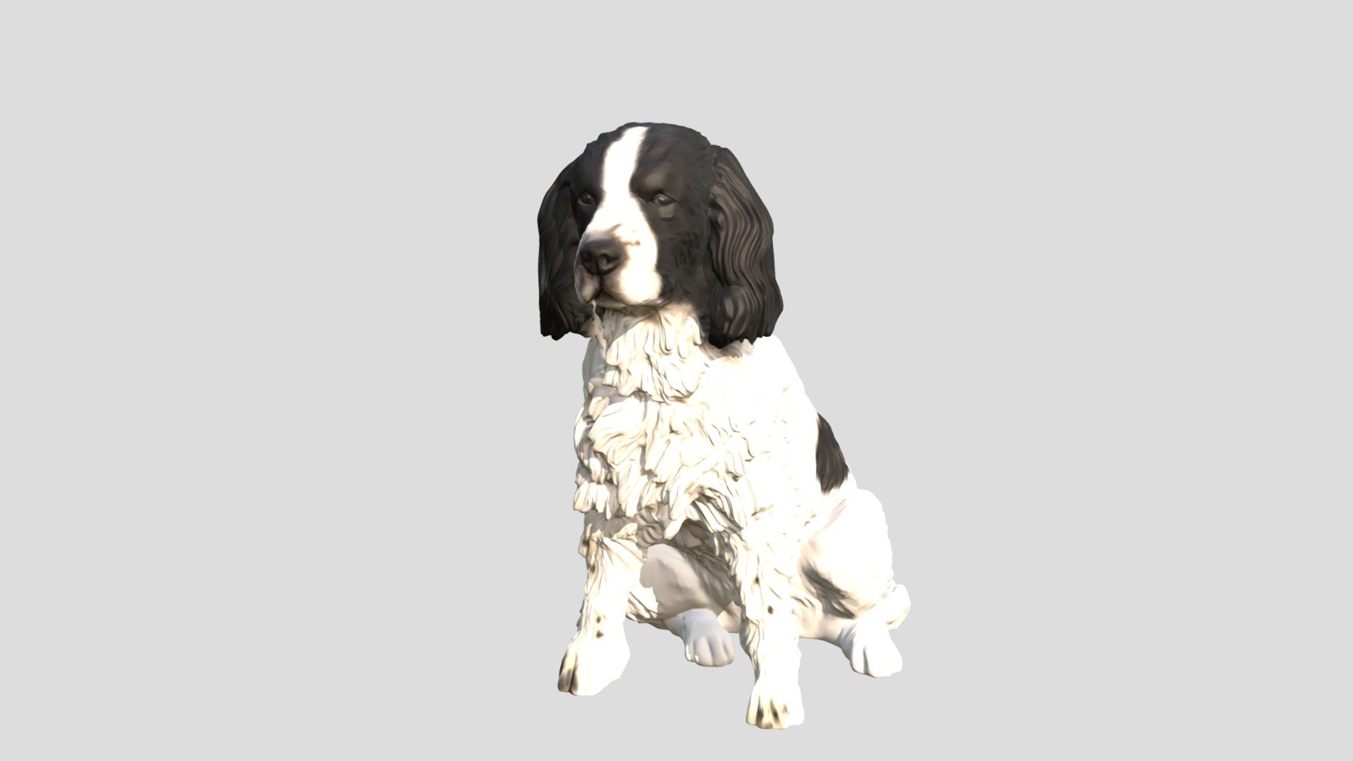 1911007- Hector- Springer Spaniel - 3D model by Arty Lobster - Pet ...