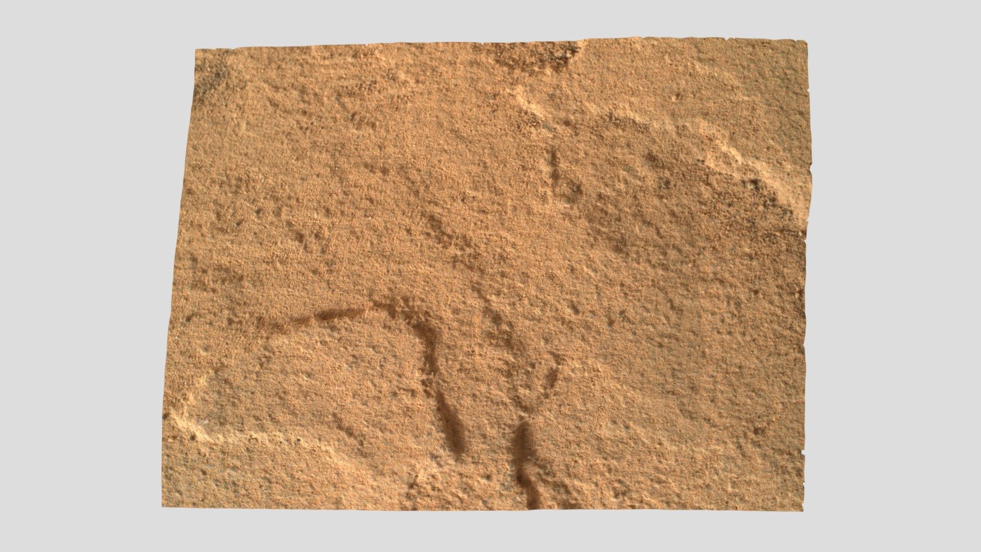 M2020 WATSON -- Buzzard Rocks, Sol 445 - Download Free 3D model by ...