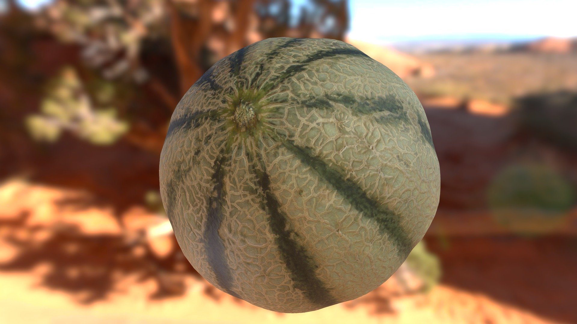 Canteloupe Melon Photogrammetry Scan - Buy Royalty Free 3D model by Mashrok [0e1ce5b ...