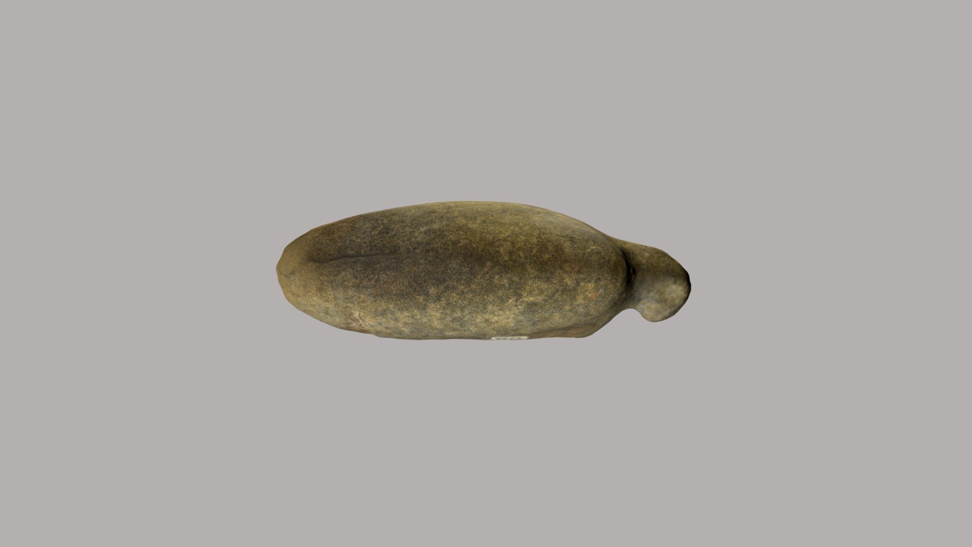 Zoólito 7532 - 3D model by Museu Arqueológico de Sambaqui de Joinville ...