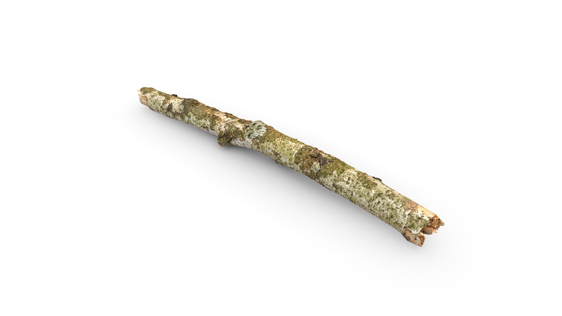 Stick with Moss - 3D model by RawCatalog.com (@rawcatalog) [0e347af ...