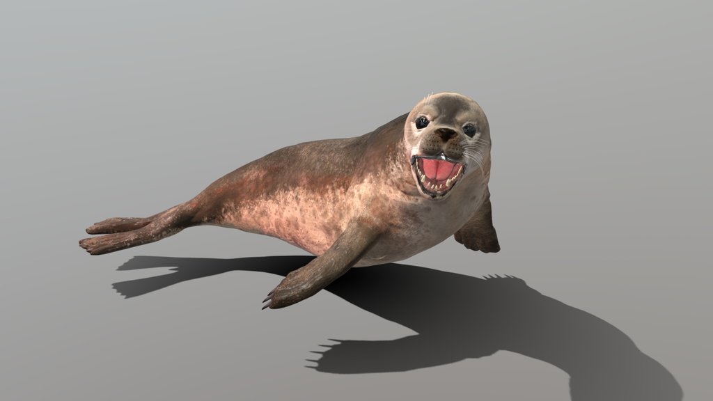 Animal ref - A 3D model collection by Minella - Sketchfab