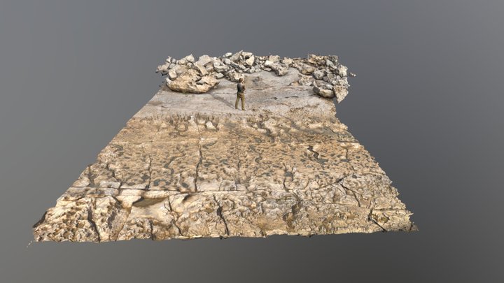 Sea-level 3D models - Sketchfab
