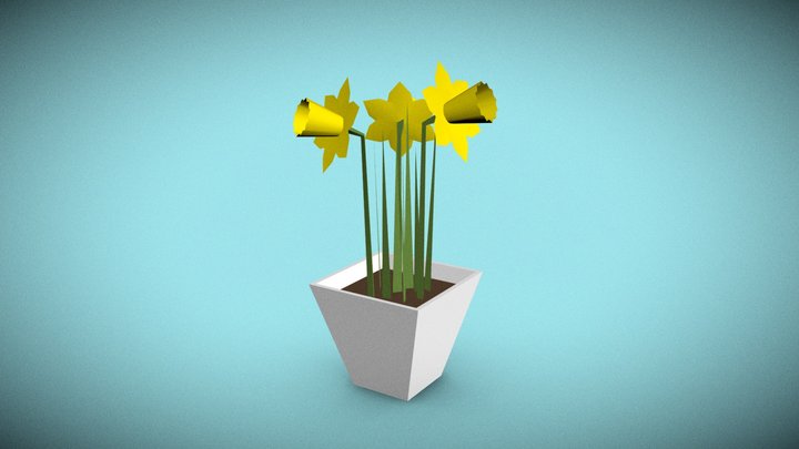 Daffodils 3D models - Sketchfab