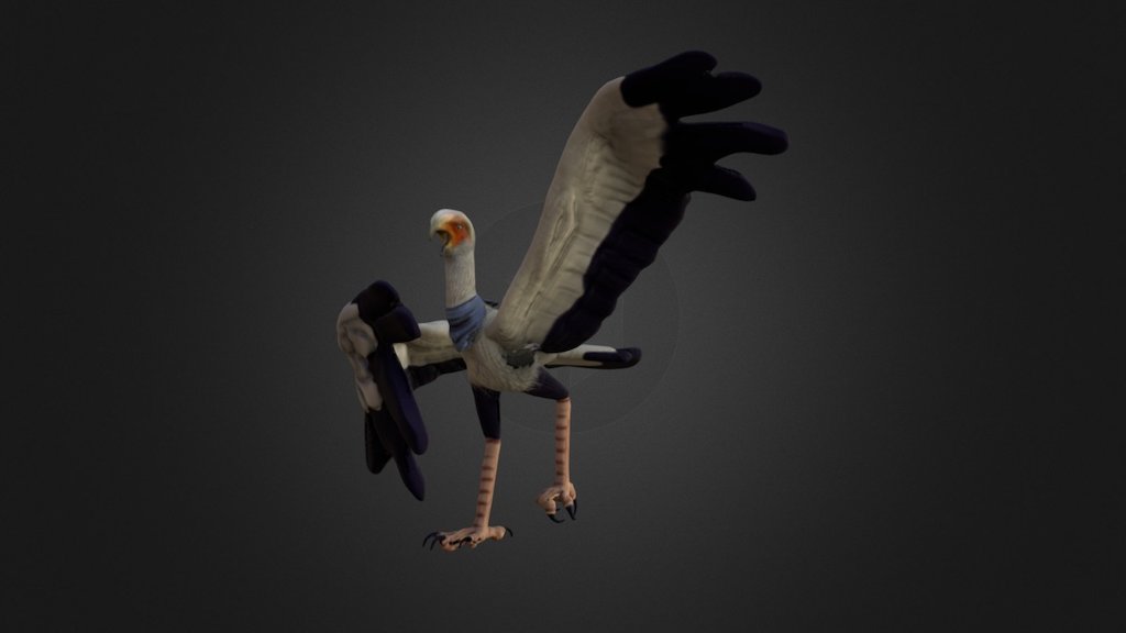 Secretary Bird Posed - 3D model by RedSorrel [0e42b59] - Sketchfab