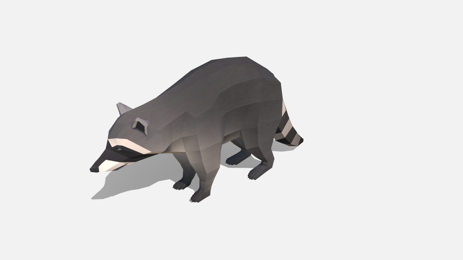 Low poly raccoon (Procyon lotor) - Download Free 3D model by Natural ...