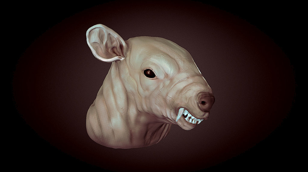 wombat - Download Free 3D model by Cousin (@lorembolo) [0e5840a ...